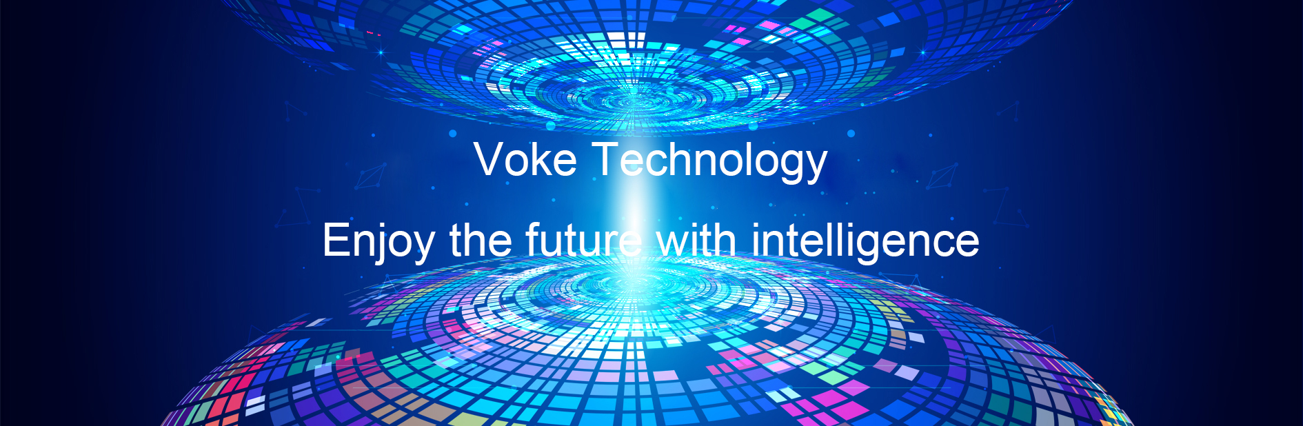 Xiamen Voke Mold & Plastic Engineering Co.,ltd.